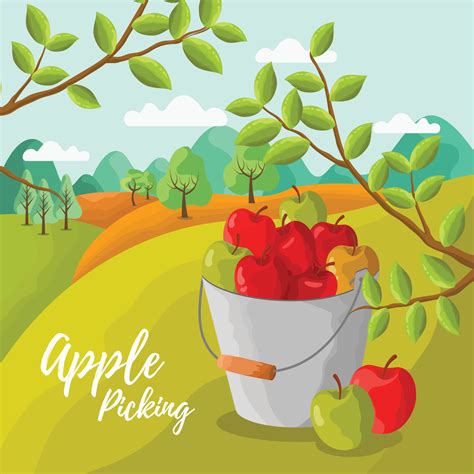 Apple Harvest Clipart At Jessica Fischer Blog