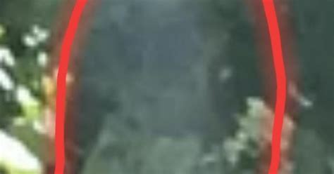 Abcdef Album On Imgur