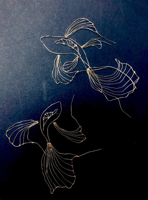 Planetarium On Twitter 알록달록한 색상의 비단잉어 딥아트 물고기 형태이니 물고기 모양 그림자인것이 당연하지만👉👈각도에 따라 다른 그림자