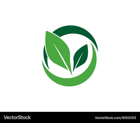 Tree Leaf Logo Template Royalty Free Vector Image