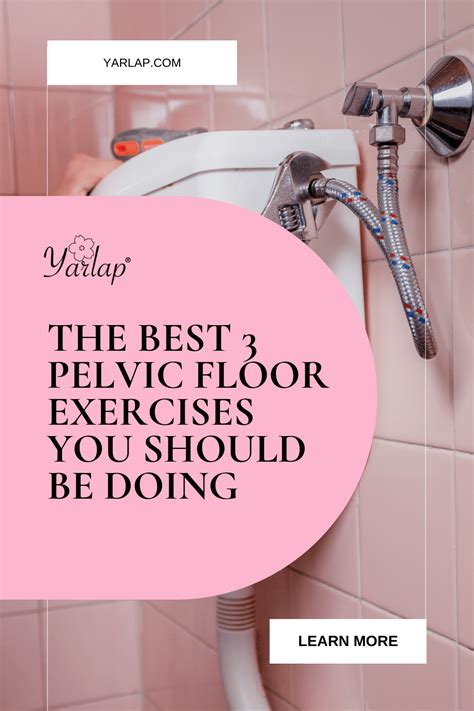 The Best 3 Pelvic Floor Exercises You Should Be Doing Artofit