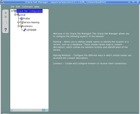 Oracle Database Errors Solved Ora 12514 Tnslistener Does Not