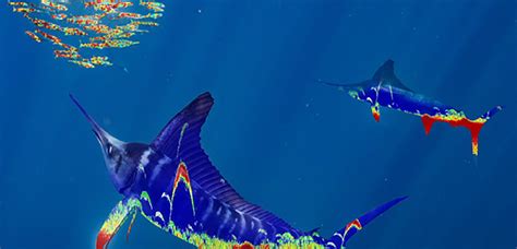 Choosing The Right Transducer Frequency