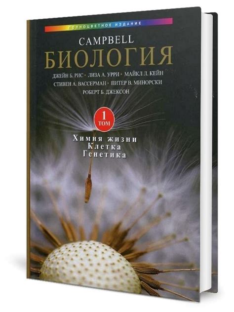 Статьи сообщества Pineducation ЕГЭ ОГЭ МЦКО Научная онлайн школа ВКонтакте