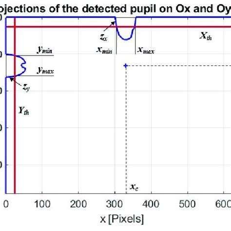 Principle Of Projection Function Method Algorithm Download