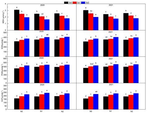 Selenium And Nitrogen Fertilizer Management Improves Potato Root