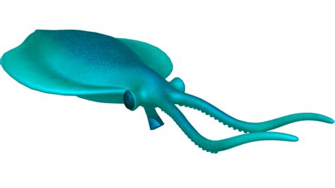 Explore The Best Nectocaris Art Deviantart