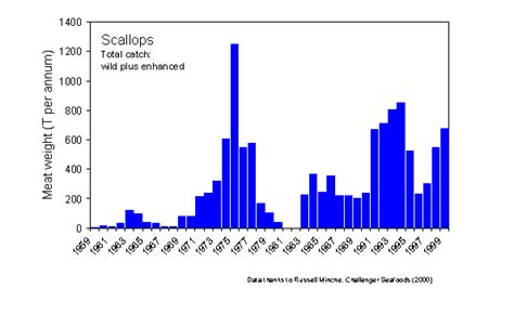 Catchment Overview Integrated Catchment Management For The Motueka River