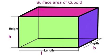 Surface Area Of Cuboid Definition Formulas And Examples