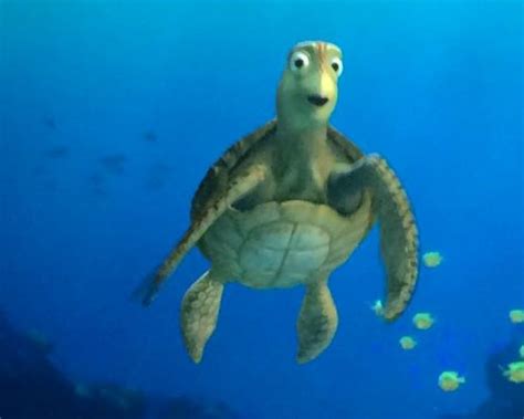 The Mouse Minute Formerly Brad S Everything Disney Blog Turtle Talk With Crush Gets An Upgrade