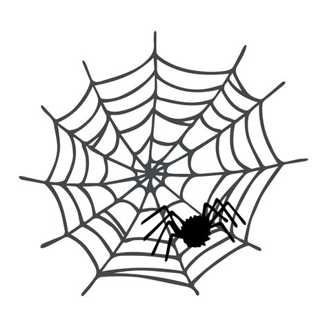 Simple Hand Drawn Spider Web Illustration Cute Gossamer Clipart