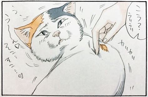 お笑い対決』 」にごたろ『ノリ吉は大吉猫』発売中の漫画