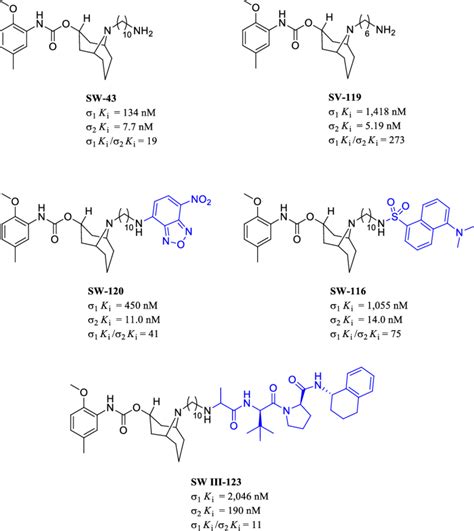 Chemical Structure And σrs Binding Profile Of Selective N Substituted Download Scientific