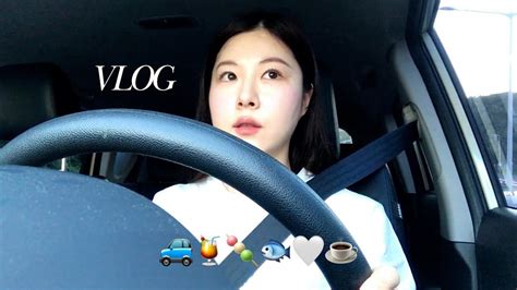 Vlog🛻자취and일상 브이로그 탕후루 운전 이너뷰티 피부회복 영이 Youtube