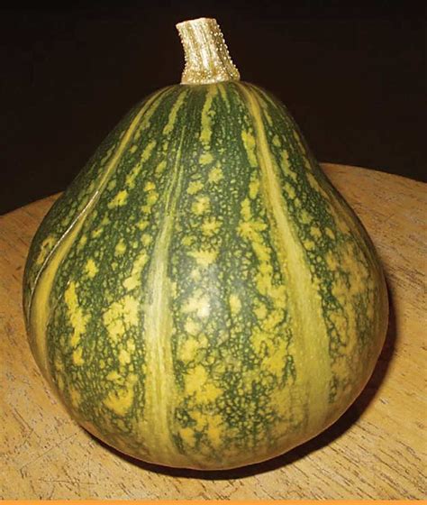 Sex And The Single Cucurbit This Simplified Crossability Polygon Download Scientific Diagram