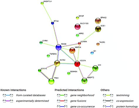 String Generated Interaction Network Among Differentially Expressed Download Scientific Diagram