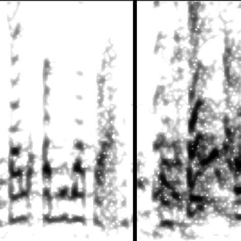 Spectrogram Fragment The Vertical Line Separates A Single Speaker Download Scientific Diagram