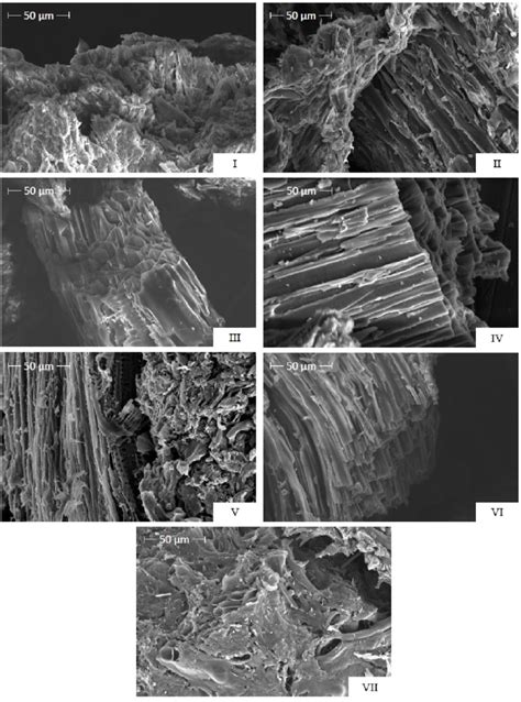 Microstructures Of The Biochar Samples I Vii Obtained With Sem Download Scientific Diagram