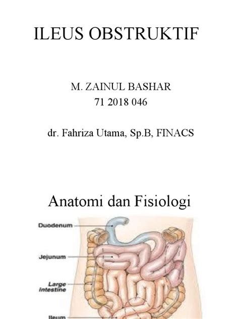 Ileus Obstruktif Pdf