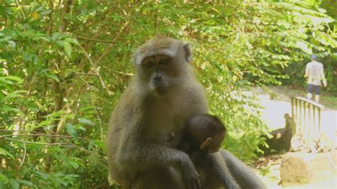 Asiangirlpeeing Videos Download The Best Free 4k Stock Video Footage And Asiangirlpeeing Hd