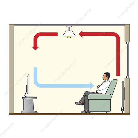 Electrical Convection Current Charge Structure In Clouds And Lower
