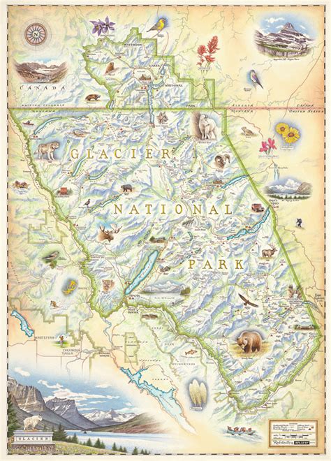 Glacier National Park Maps Glacier Park Inc Glacier