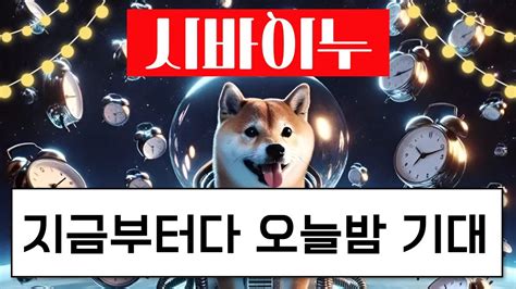 시바이누코인 시바이누분석 시바이누분석 시바이누 시바이누전망 시바이누코인전망 시바이누호재 시바이누목표가 시바이누대응 Youtube
