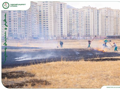 Үндэсний цэцэрлэгт хүрээлэнд шашны зан үйл хийж зориуд гал тавьсан хэрэг гарчээ Isee Mn