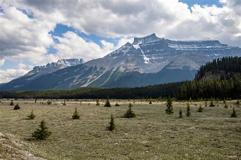 고요한 황야 환경에서 무성한 녹지와 드라마틱한 구름이 특징인 광활한 산 풍경 0명에 대한 스톡 사진 및 기타 이미지 0명 거리가 먼 경관 Istock