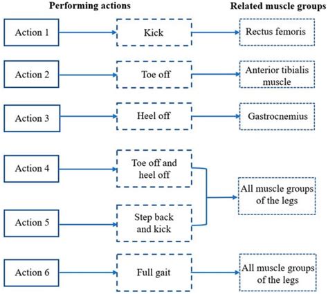 A Smartphone Based Semg Signal Analysis System For Human Action Recognition