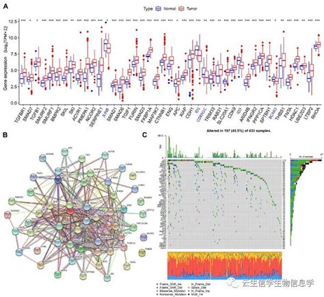 信号通路怎么做生信分析？先用tgf β给你打个样~再一次证明两次聚类这种独特的分析思路正在走向火热！ 知乎