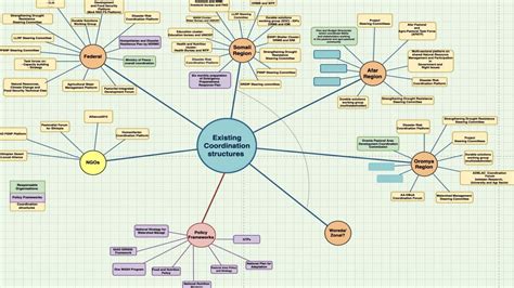 Mind Map Of Coordination Structures And Observations DREAM For Dry Lowlands