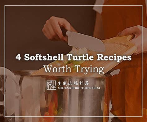 4 Softshell Turtle Recipes Worth Trying Ser Seng Herbs Turtle