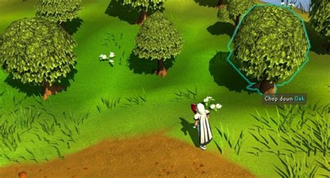 The Best Place To Cut Oak Trees In Osrs Diamondlobby