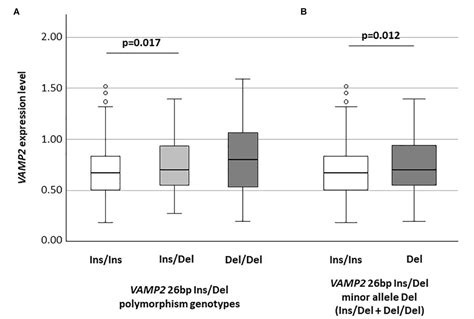 Table 1 From Vamp2 Expression And Genotype Are Possible Discriminators