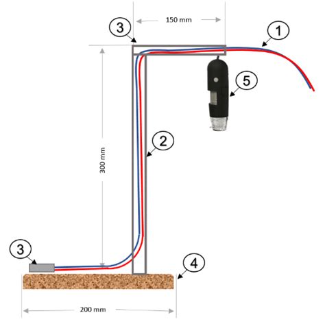 10 Wiring And Microscope Support Lateral View A Schematic With The