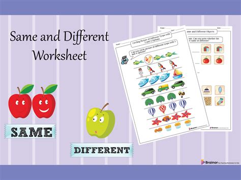 35 Same And Different Worksheet Free Printable Brainor