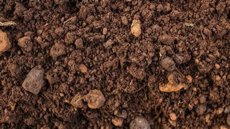 Ideal Soil Texture Background For Planting Rich And Fertile Loam Land