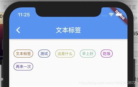 Flutter文本标签texttagwidget，搜索记录流式布局显示文本标签flutter Tag Csdn博客