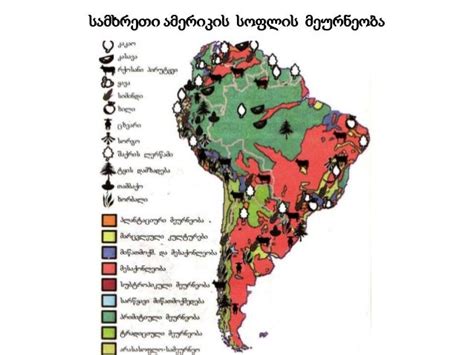 სამხრეთი ამერიკა