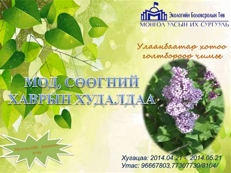 Экологийн боловсролын төв дээр мод сөөгний хаврын худалдаа зохион… Монгол Улсын Их Сургууль