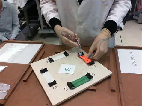 Computer Vision Object Detection Model By Tech