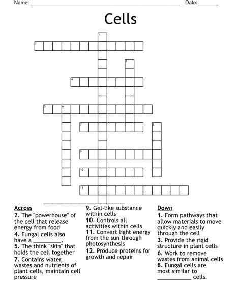 Cells Crossword Wordmint