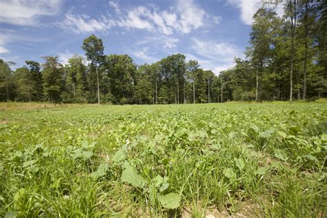 Plot Photos Field Days Media