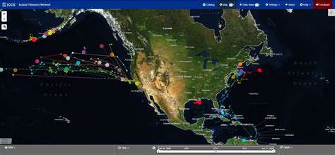 Access Ioos Data The Us Integrated Ocean Observing System Ioos