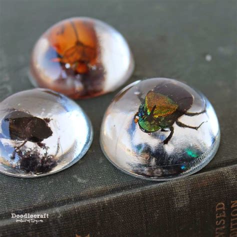 Doodlecraft Beetles In Resin Jewelry