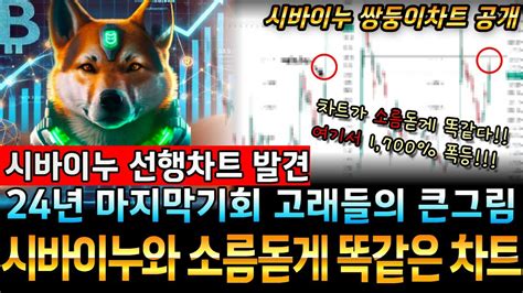 시바이누 코인 소름돋게 똑같은 쌍둥이 차트발견 영상에서 공개 24년 마지막 탑승기회 이번에 놓치면 영영 떠난다