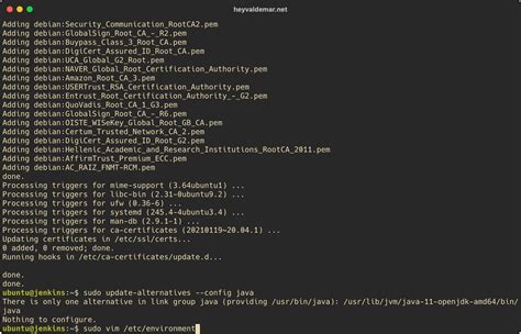 Install Jenkins On Ubuntu Server Devops Compass Guided It Solutions