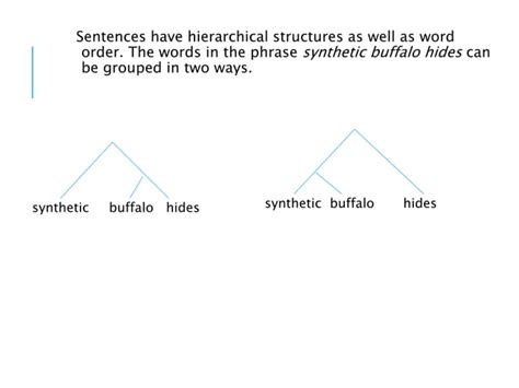 Syntactic Structures Pptx Programming Languages Computing