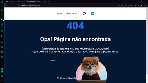 Bug Erro De Estilos React Desenvolvendo Em React Router